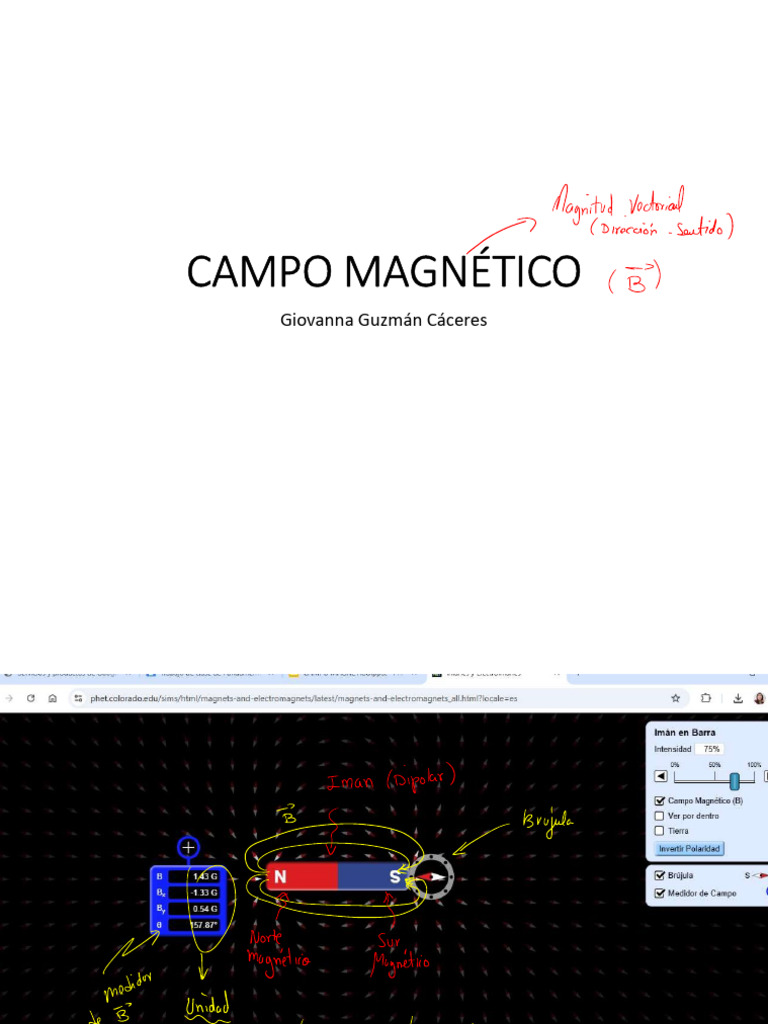CAMPO MAGNÉTICo 2 | PDF | Campo magnético | Imán
