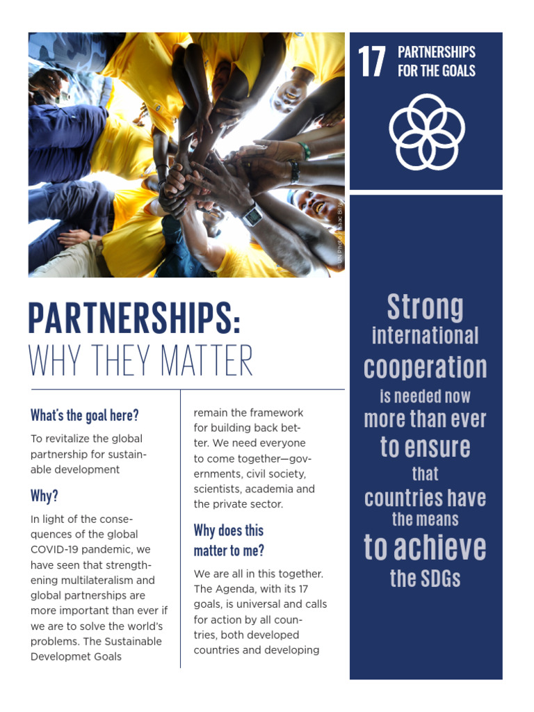17 Why It Matters 2020 | PDF | Economic Development | Global Politics