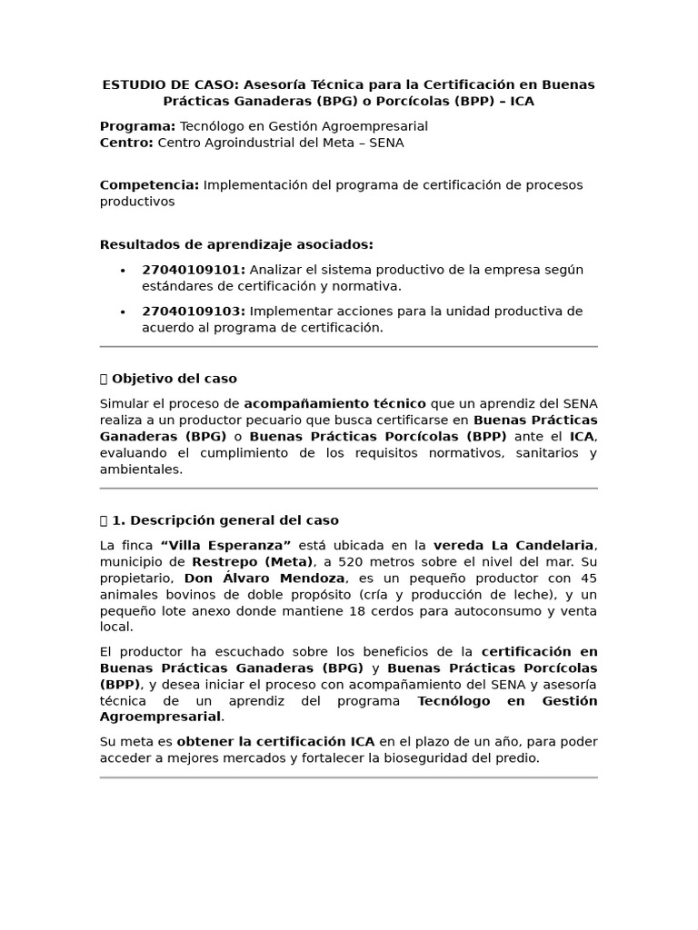 Estudio de Caso_bpg | PDF