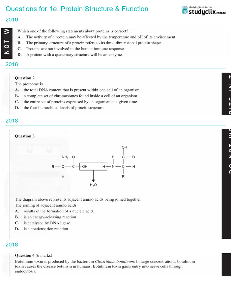 Questions For Proteinstructurefunction | PDF