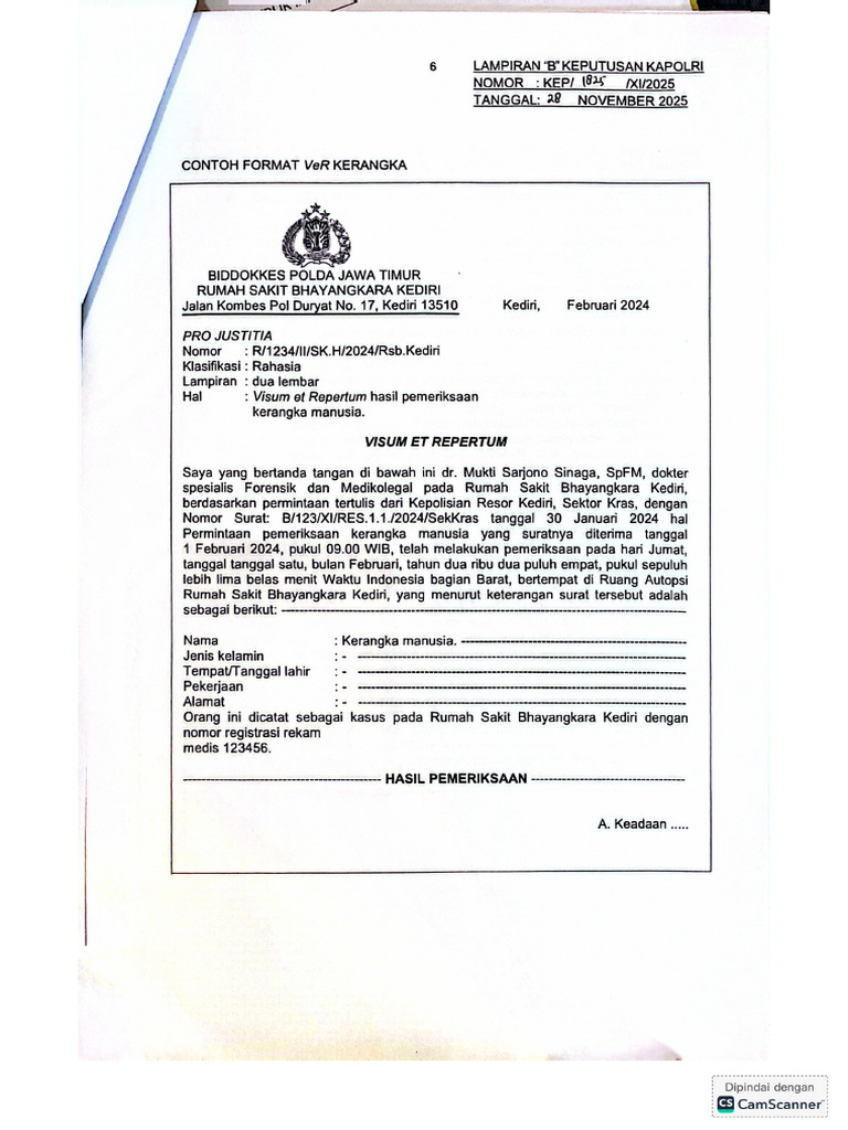 Contoh Visum Kerangka | PDF