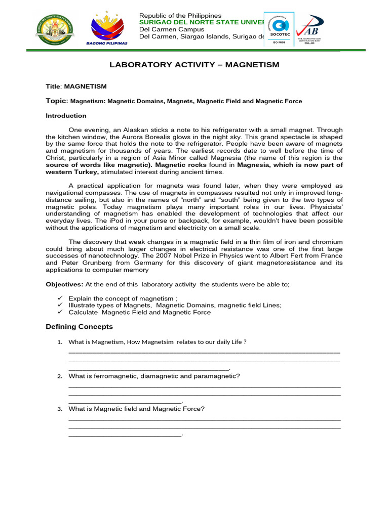 Laboratory Activity Magnetism | PDF | Magnetism | Magnet