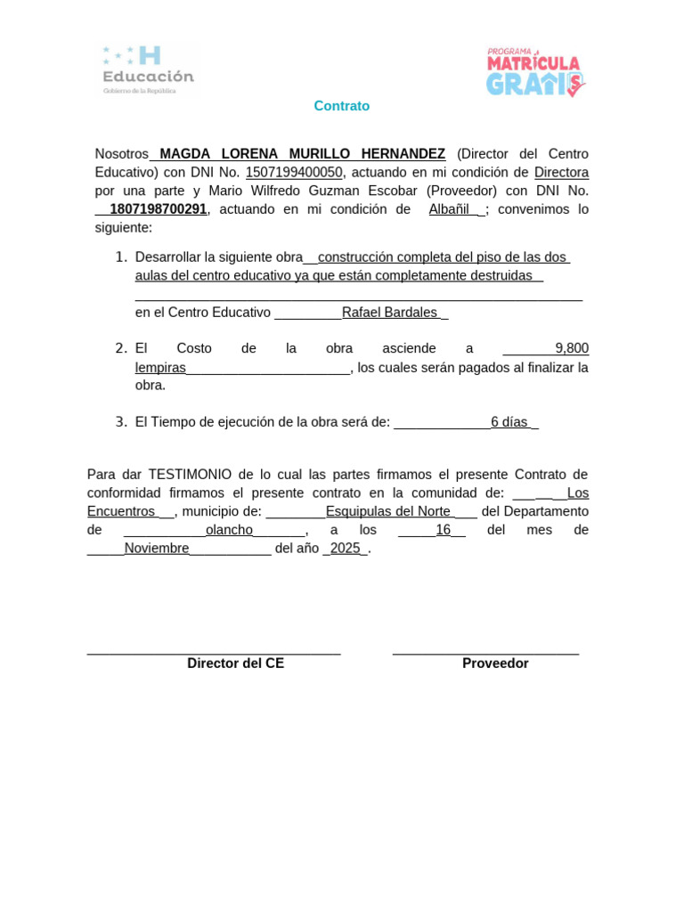 Formatos PMG en Word | PDF