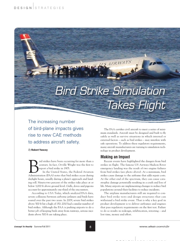 C2R2011 Bird Strike | PDF | Simulation | Structural Load