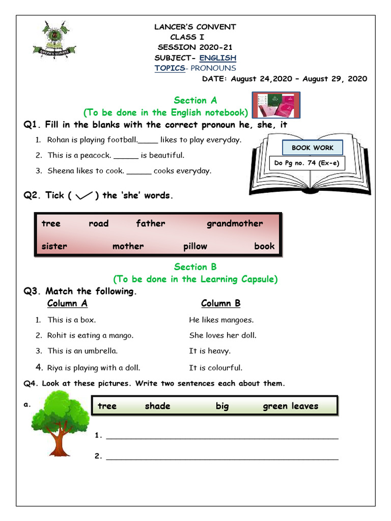 .Learning Capsule Eng Pronouns Class1 | PDF | Language Mechanics ...