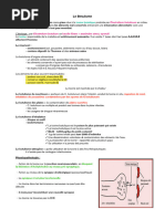 Anatomie du diaphragme stylien | PDF | Tête et cou chez l'humain ...