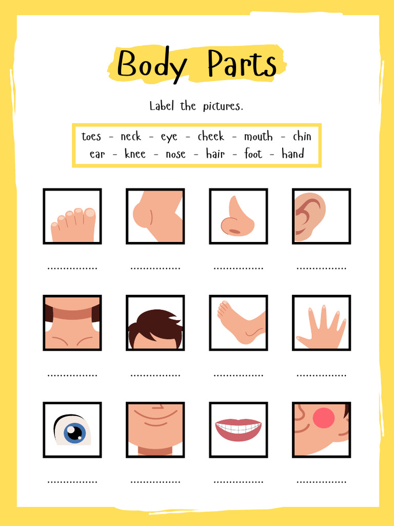 Body Parts Vocabulary Worksheet in Yellow White Cute Style | PDF