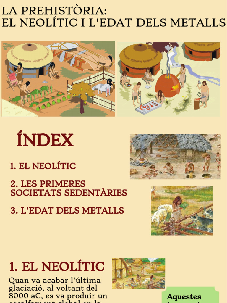 Neolític I Edat Metalls | PDF