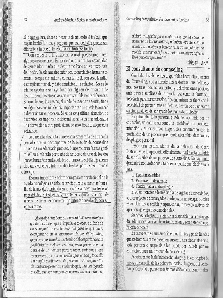 ASB El Consultante | PDF