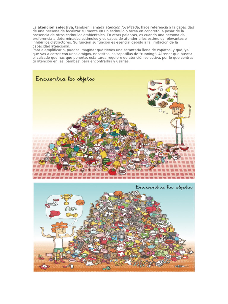 Atención Selectiva Visual | PDF