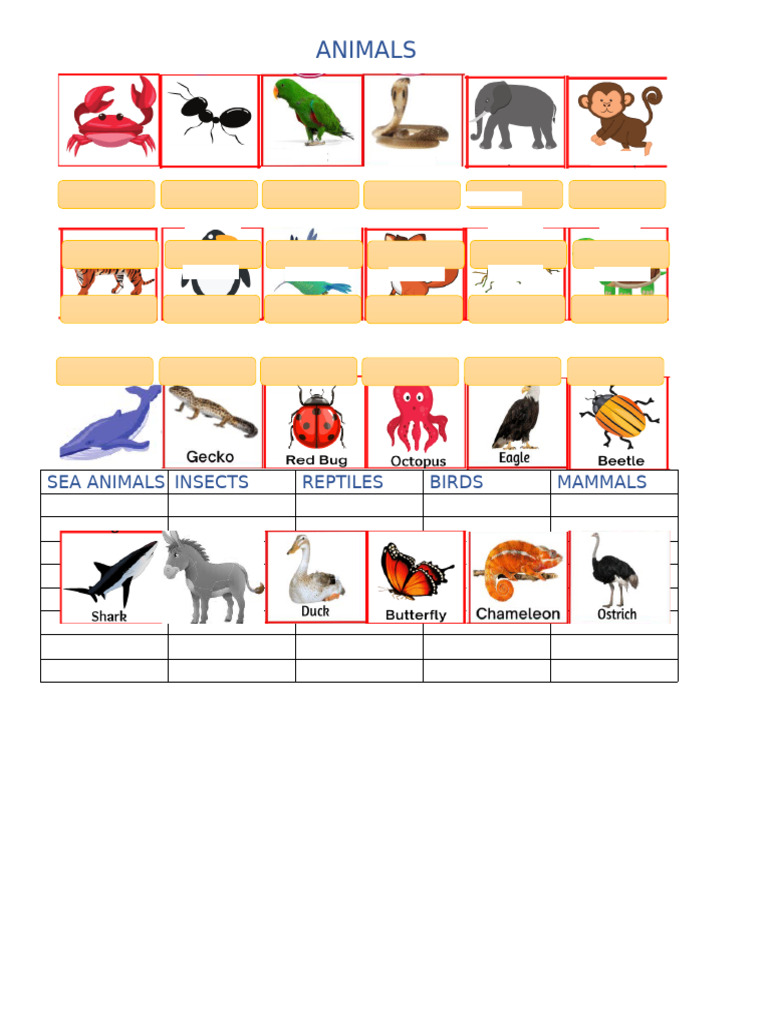 Animals and Their Characteristics | PDF