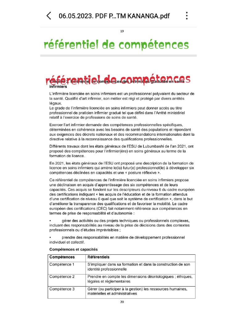 Référentiel de Compétences Bacheliers en SG | PDF