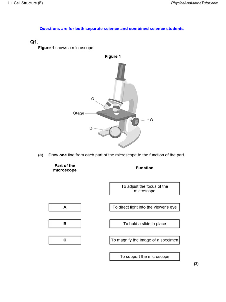 1.1 Cell Structure (F) QP | PDF