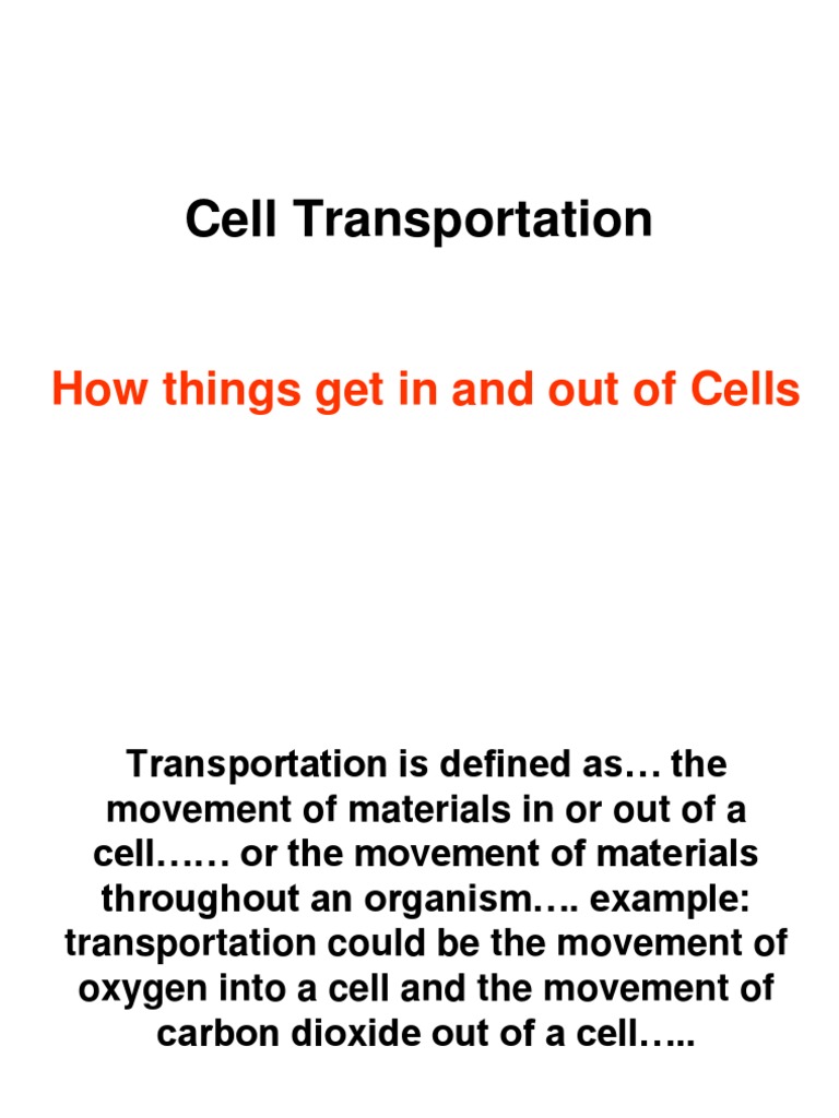 Cell Transportation: How Things Get in and Out of Cells | Download Free ...
