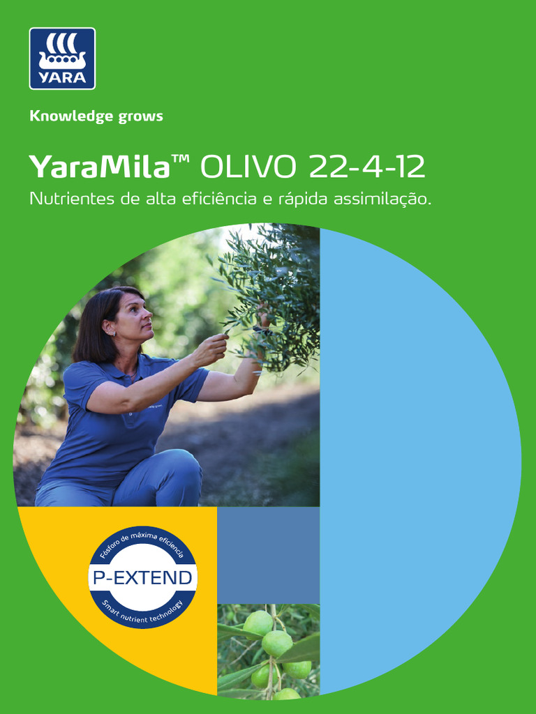 Folleto Pds Yaramila Olivo PT | PDF