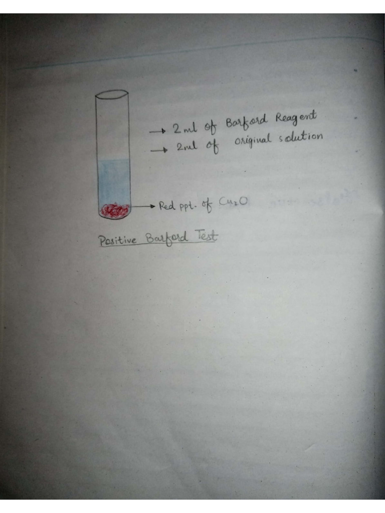 Barfoeds Test | PDF