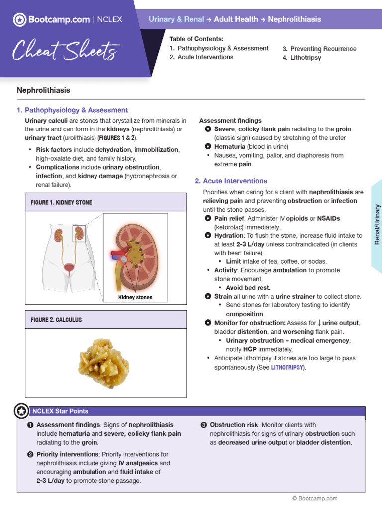Nephrolithiasis Cheat Sheet | PDF | Medical Specialties | Genitourinary ...