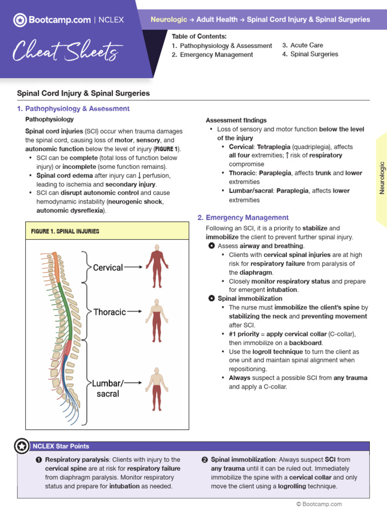 Spinal Cord Injury & Spinal Surgeries Cheat Sheet | PDF | Spinal Cord ...