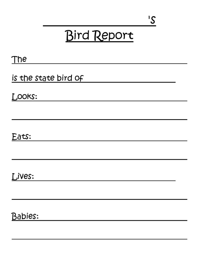 Bird Report State | PDF