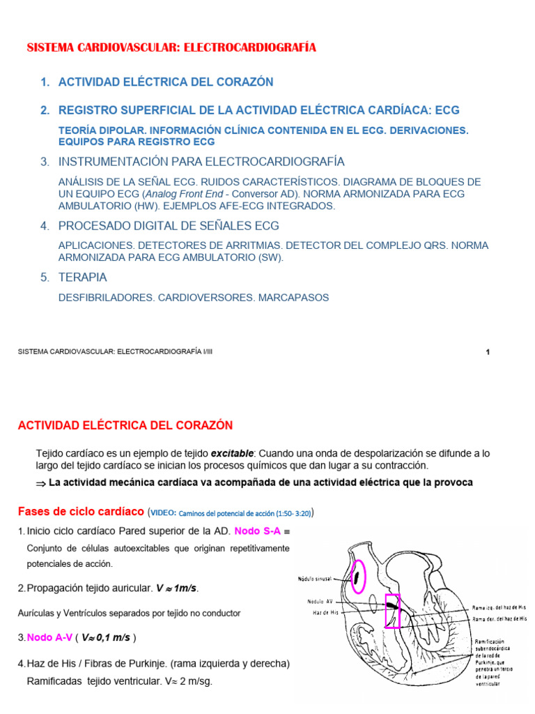 Ecg 1 V5 5 2025 | PDF | Corazón | Sistema circulatorio