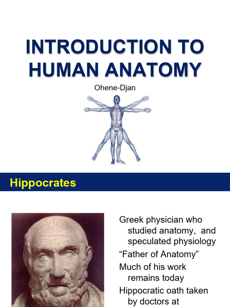Introduction To Human Anatomy | PDF | Anatomical Terms Of Location ...