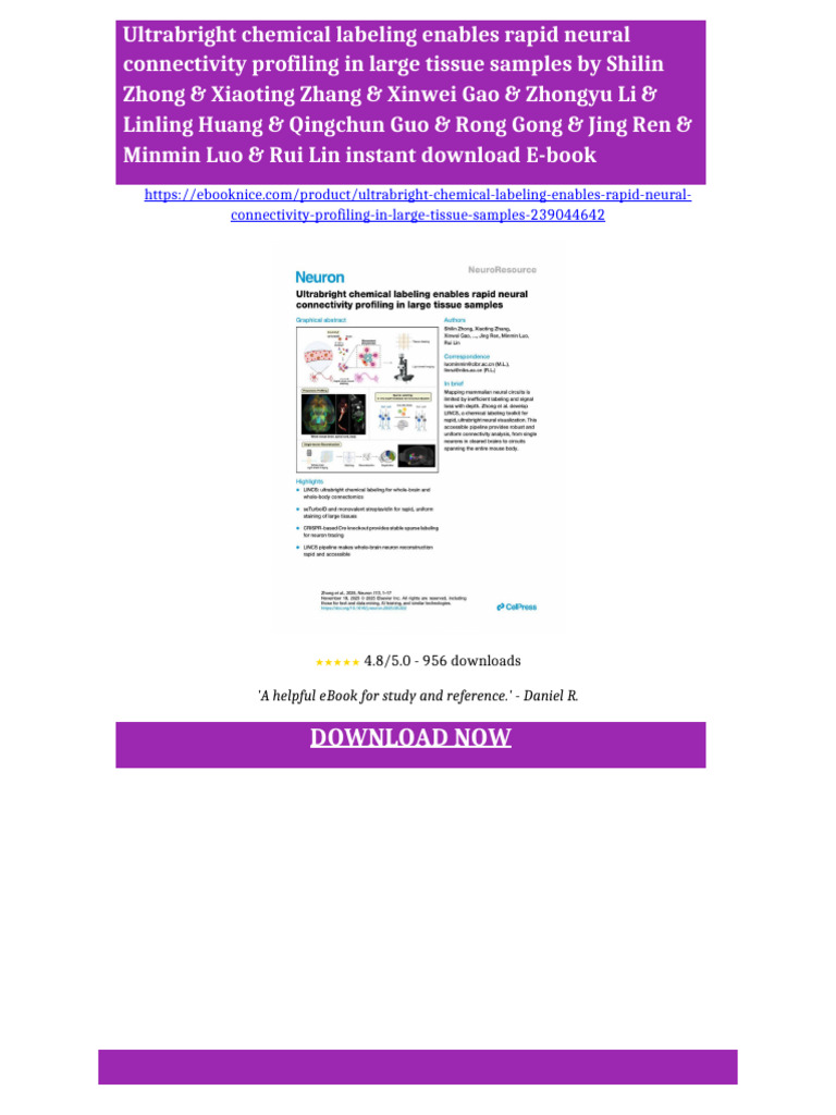 Ultrabright chemical labeling enables rapid neural connectivity ...