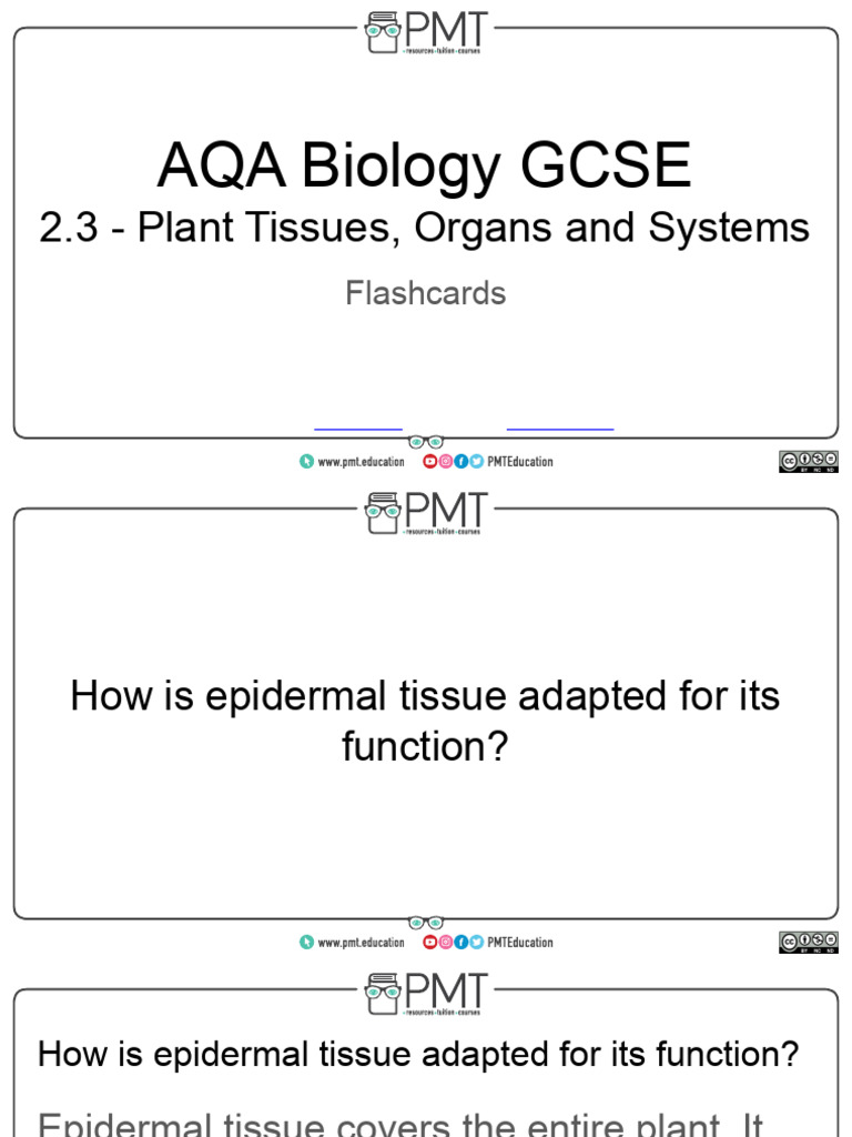 Flashcards - 2.3 Plant Tissues, Organs and Systems - AQA Biology GCSE ...