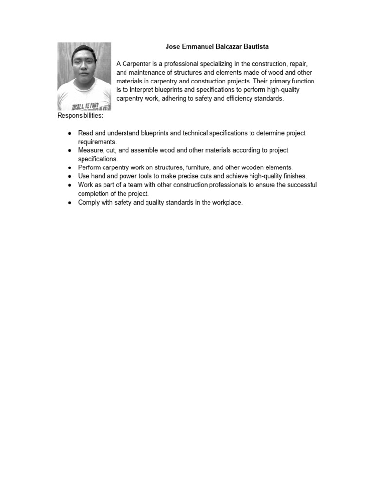 Job Description - Jose Emmanuel Balcazar Bautista | PDF
