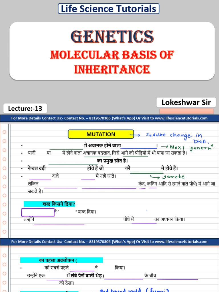 Molecular Basis of Inheritance 13 PDF | PDF