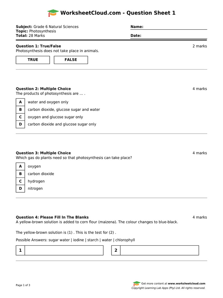 WSC Gr6 NaturalScience Photosynthesis WS1 | PDF | Photosynthesis | Leaf