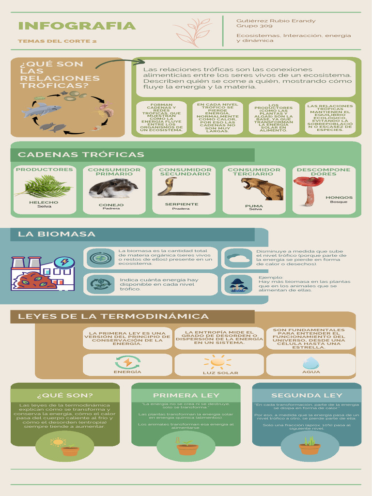 Infografía Fotosíntesis Plantas Ilustrado Multicolor_20260210_164747 ...