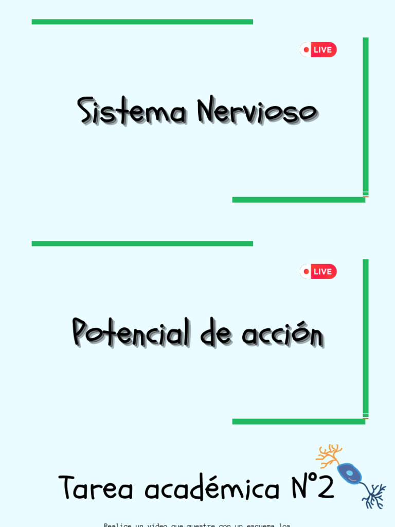 Potencial de Acción y Fundamentos de La Excitabilidad Neuronal | PDF ...