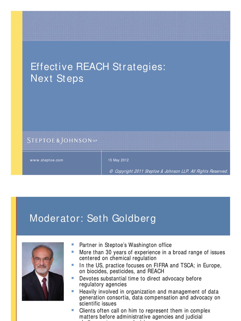 Effective REACH Strategies Next Steps | PDF | Evaluation | Member State ...