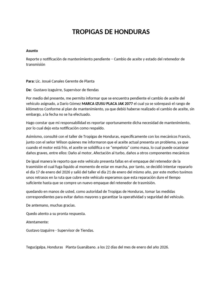 Machote de Reportes | PDF