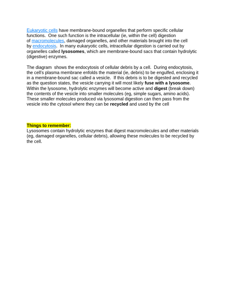 Important Bio Facts to Know (1) (3) (1) (1) | PDF | Endoplasmic ...