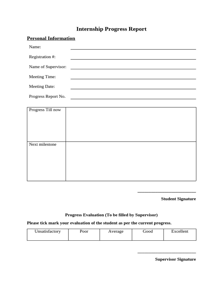 Progress Report Format | PDF