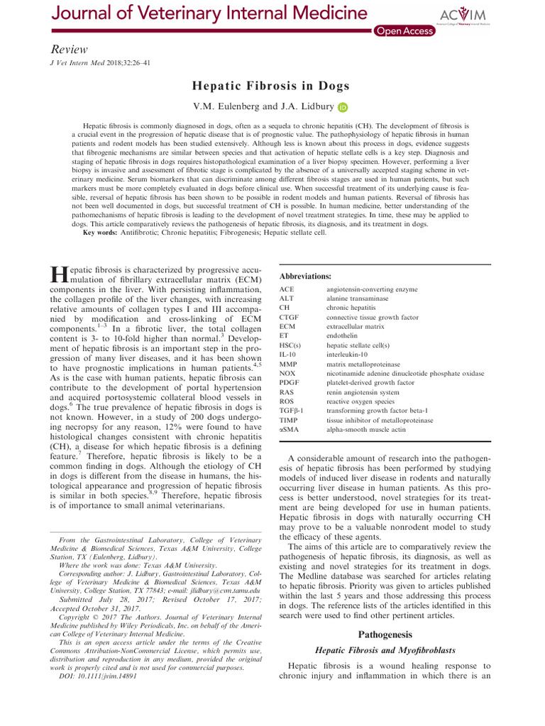 Hepatic Fibrosis in Dogs | PDF | Cirrhosis | Extracellular Matrix