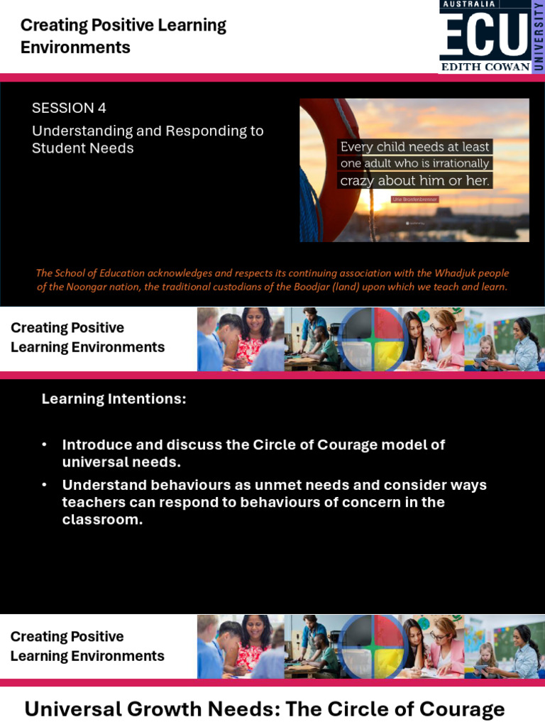 4 Universal Needs and the Circle of Courage | PDF | Behavior | Teachers