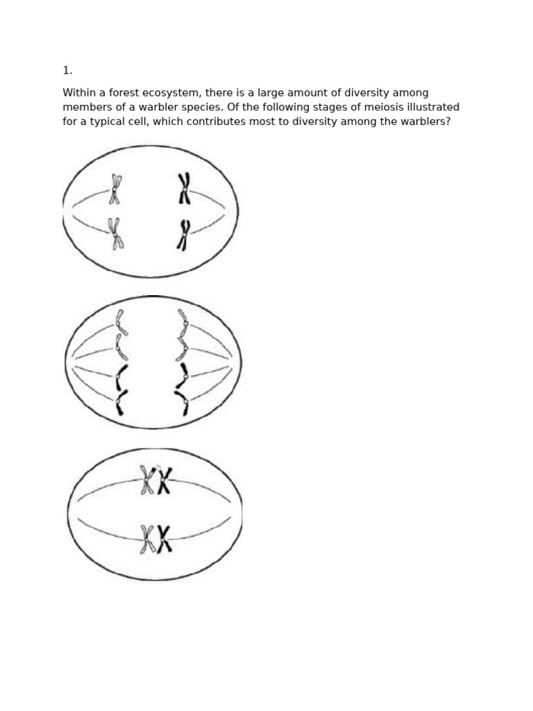 AP Biology Unit 5 MCQS AP Classroom | PDF | Meiosis | Dominance (Genetics)