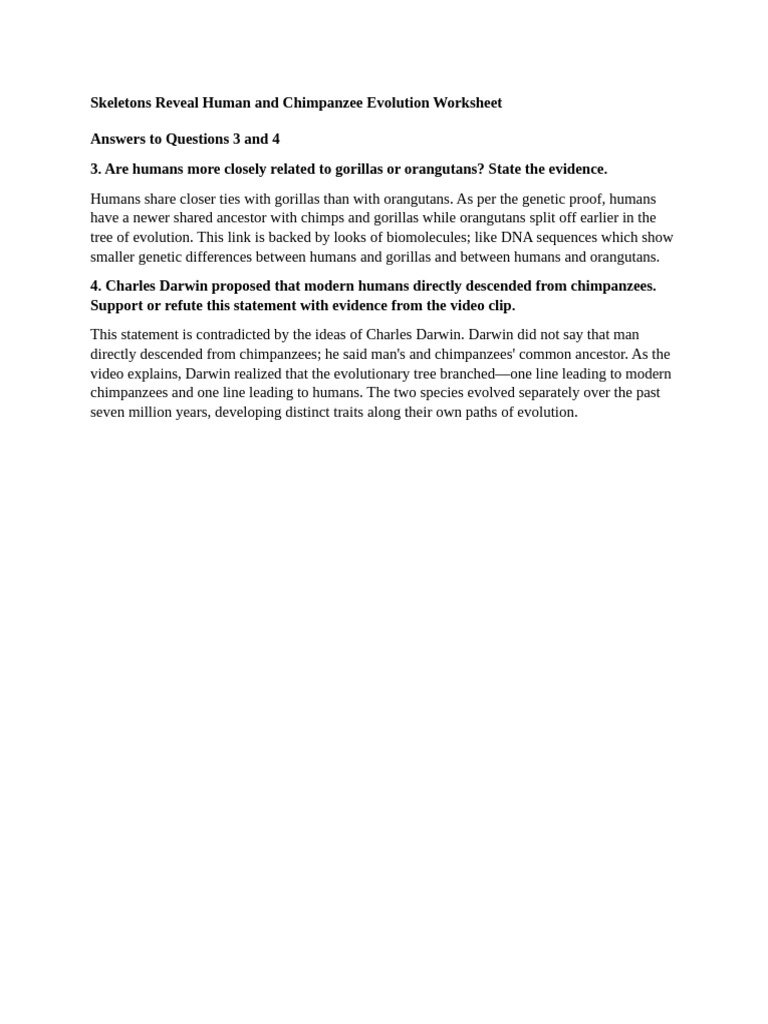 Human and Chimpanzee Evolution Worksheet...Bc | PDF