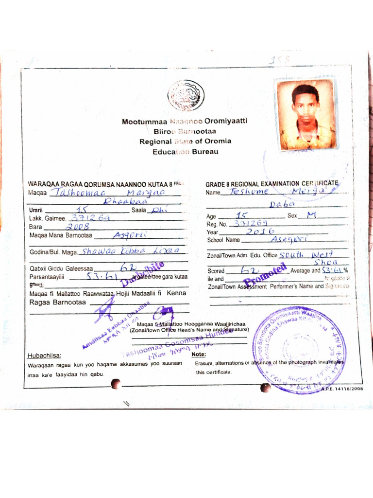 Full Documet by Order Tashee | PDF
