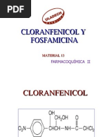 Prosp Fosfolea | PDF | Infección del tracto urinario | Bacterias Gram ...