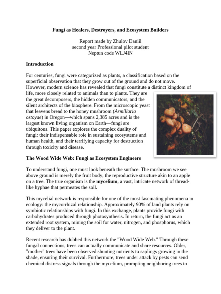 Fungi, Report | PDF | Fungus | Ecosystem