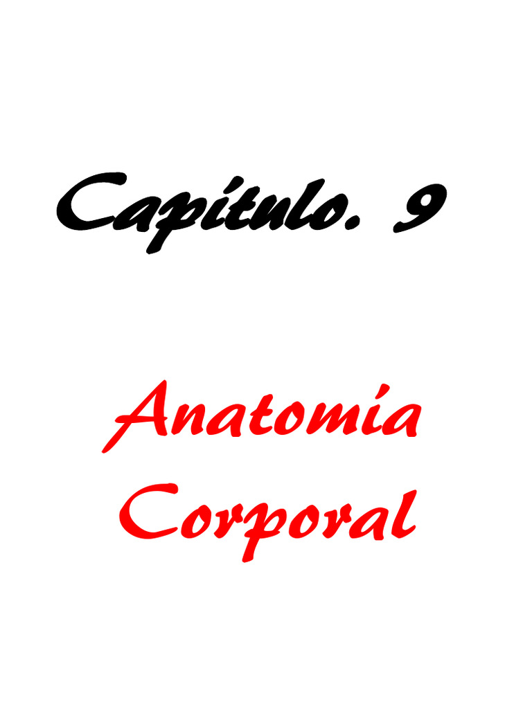 Anatomía Corporal Organos | PDF | Sistema digestivo humano | Sistema ...