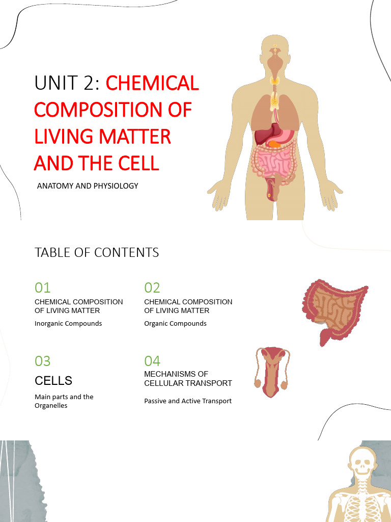 Unit 2 Chemical Composition and Cell | PDF | Cell (Biology ...