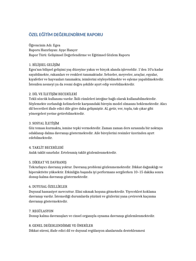 Egea Ozel Egitim Degerlendirme Raporu | PDF