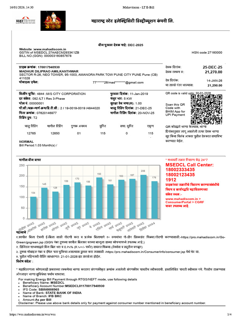 Light Bill | PDF