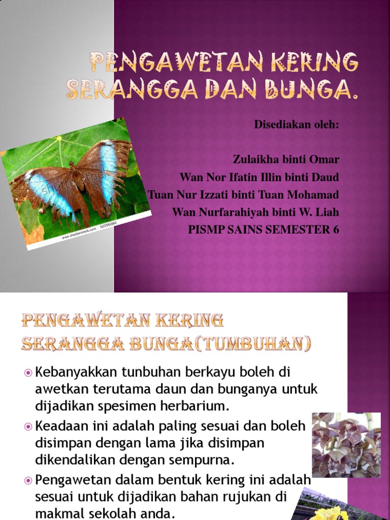 Pengawetan Kering Serangga Dan Bunga Pdf