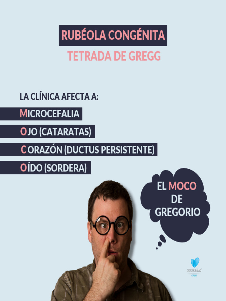 t23 Infograf a Sobre Rubeola - Tetrada de Gregg | PDF