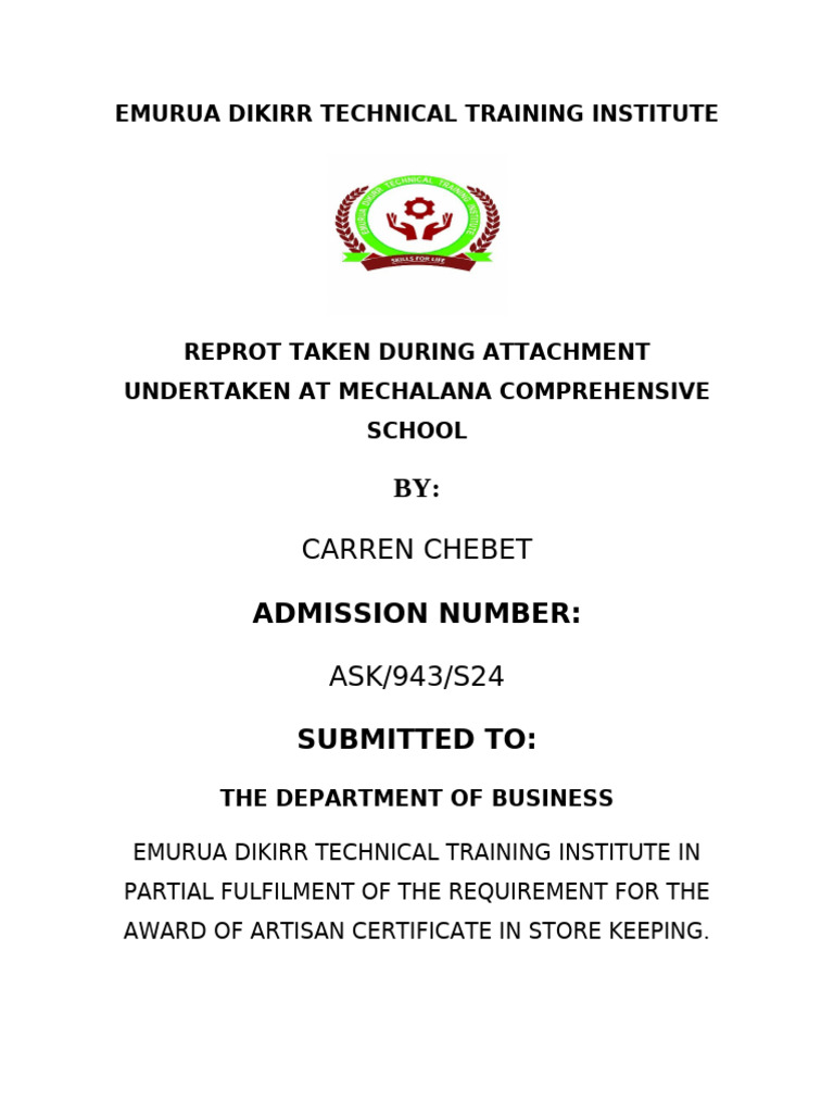 CARREN CHEBET STORE REPORT | PDF | Libraries | School Library